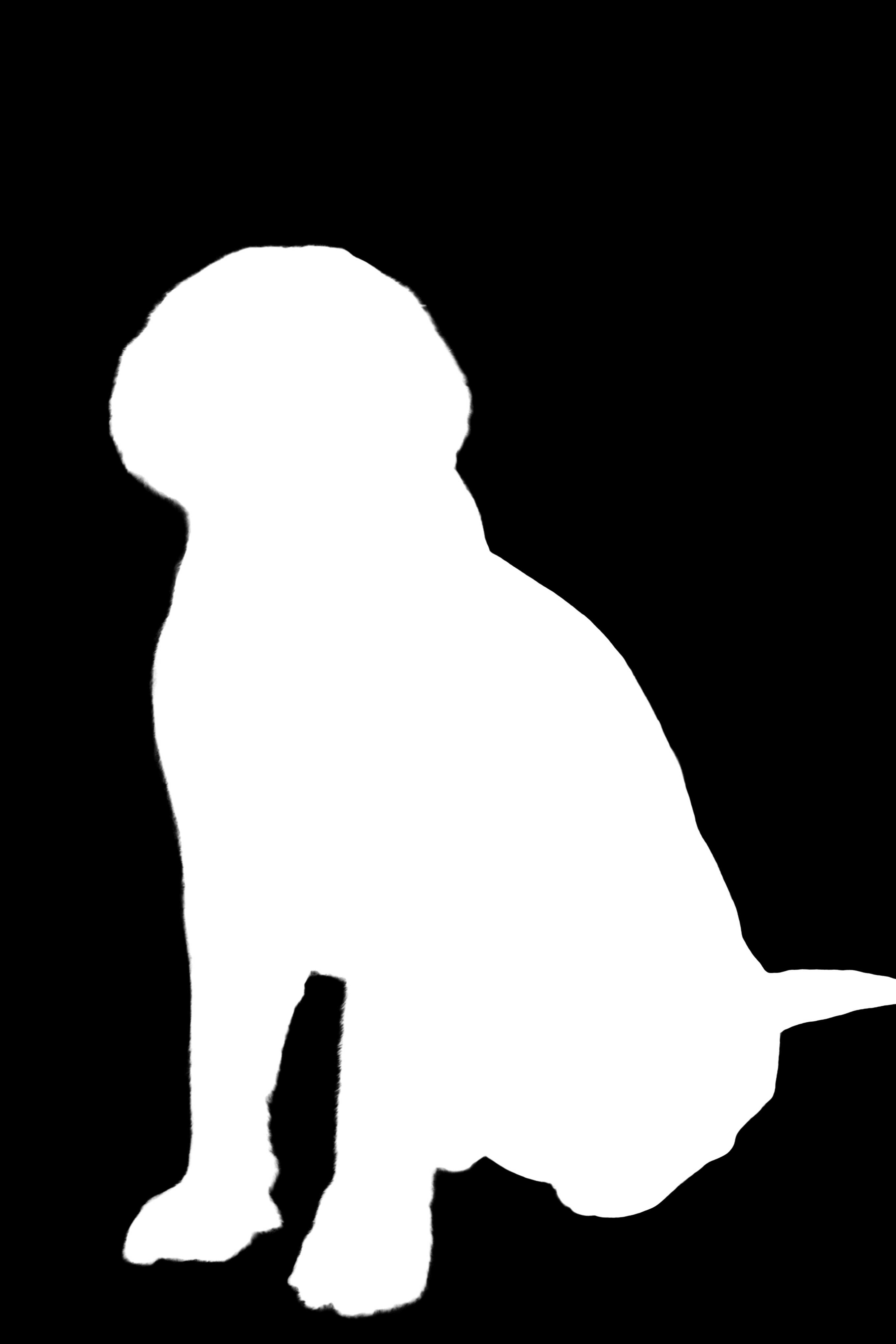 Background Removal API – remove.bg